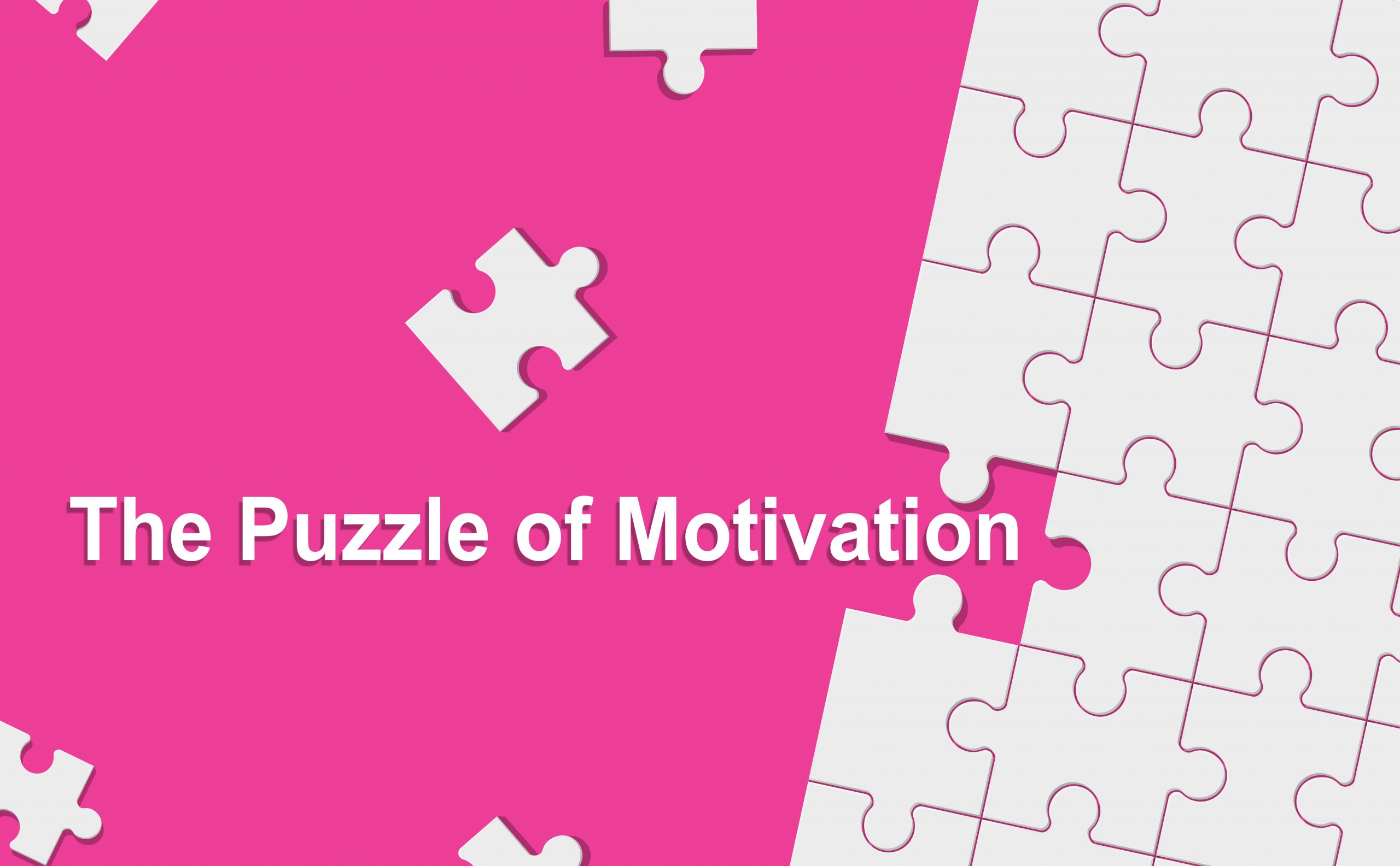 The puzzle of motivation